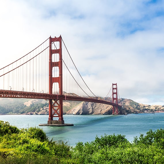 Robin G. Workman • San Francisco, CA Employment Attorney